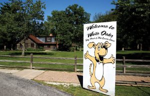 Wood Dale IL Parks and Recreation - Town Square Publications